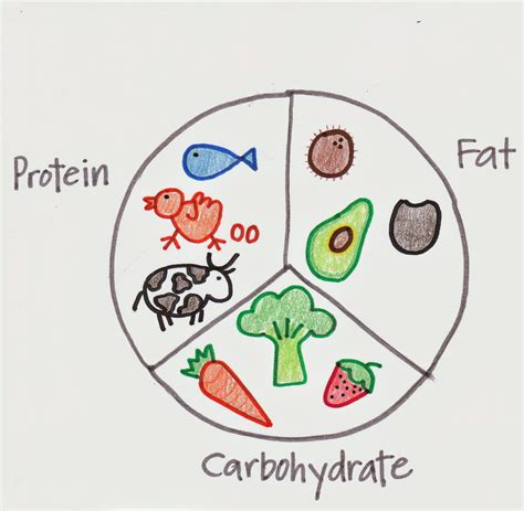 Nutritional Concepts Macronutrients And Micronutrients