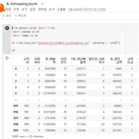 A쇼핑 내부 데이터를 활용한 마케팅 전략 데이터 전처리·분석·시각화 포트폴리오 크몽