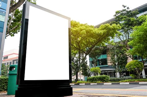 빌보드는 도시 배경의 아름다운 햇빛을 조롱합니다 맑은 도로가있는 길가 근처의 빈 정보 광고판의 템플릿 도시 배너 자리 표시자 및