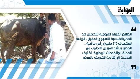 انطلاق الحملة القومية للتحصين ضد الحمى القلاعية الأسبوع المقبل