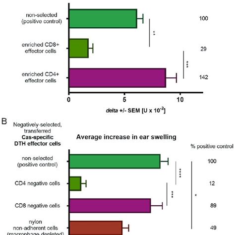 Phenotyping Of Effector Cells Of Delayed Type Hypersensitivity Dth To Download Scientific