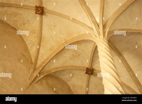 Columnas Estriadas En Espiral La Llotja Siglo XV Palma Mallorca Islas