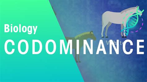 Codominance Genetics Biology Fuseschool Youtube