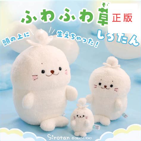 日本Sirotan 海豹小白 絨毛娃娃 綿綿草小白28cm玩偶 布偶 填充玩具 蝦皮購物