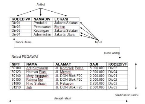 Perbedaan Model Data Relational Jaringan And Hierarkis Dan Relasi Tabel