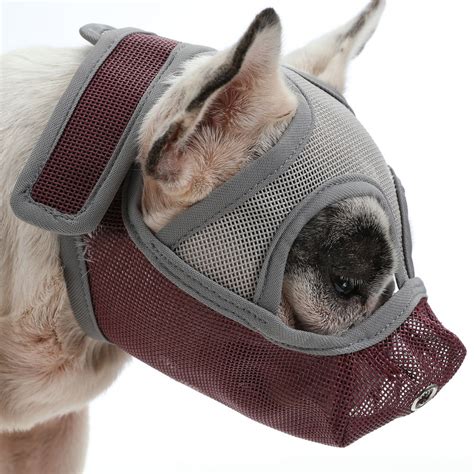 Badu Bg Намордници за домашни кучета Регулируем дишащ капак за устата на кучето против ухапване