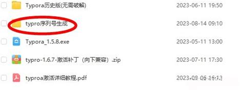 如何激活使用typora（2024年最新版） 程序员子龙java面试 Java学习