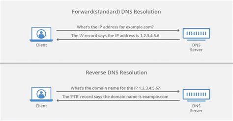 rDNS Reverse DNS là gì VinaHost