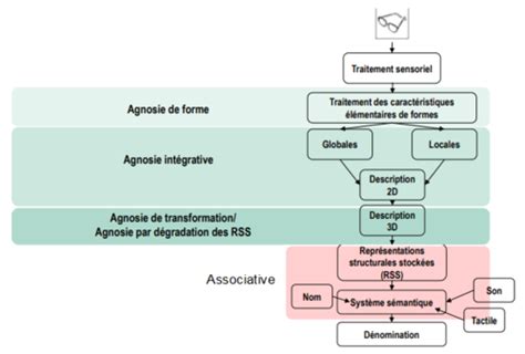 Neuropsychologie Clinique Cartes Quizlet
