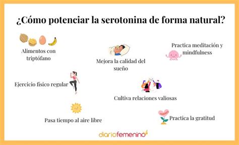 Claves Para Aumentar Los Niveles De Serotonina De Forma Natural