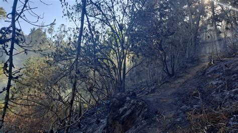 Hombre De La Tercera Edad Murió Calcinado Por La Ola De Incendios