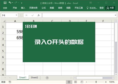 Excel E Excel Bug