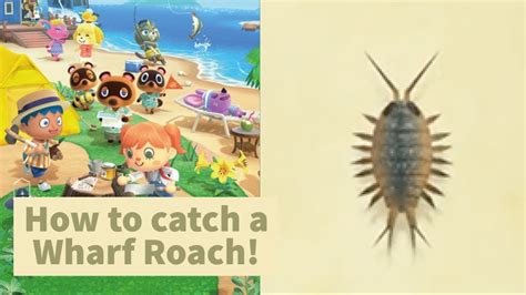 How To Get Roaches Out Of House Animal Crossing At Laurence Drake Blog