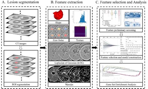 flow chart of radiomics a acquisition image data and segment the
