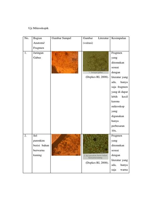 Uji Mikroskopik Jahe Pdf