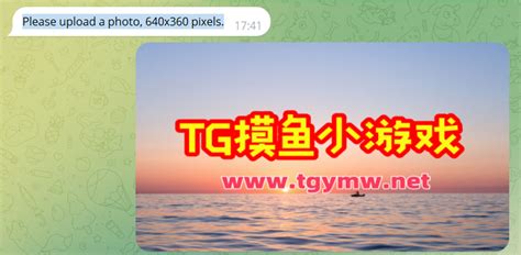 Telegram 电报开发者apiid 和 Apihash 申请教程 Tg源码网