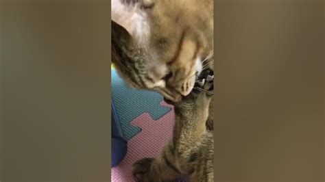 구석구석 꼼꼼하게 Youtube