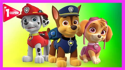 МУЛЬТИКИ игра ЩЕНЯЧИЙ ПАТРУЛЬ все серии подряд на русском Щенячий патруль кости Youtube