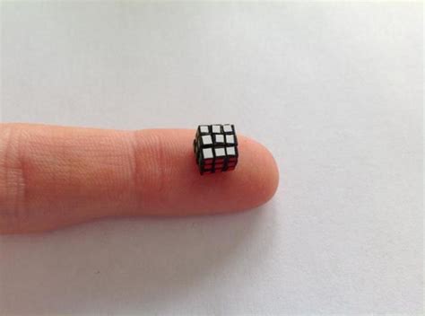 What Is This A Rubiks Cube For Ants R Thingsforants