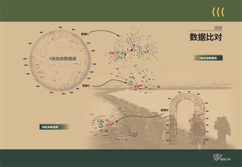 Dna数据比对 上海复鉴生物科技有限公司