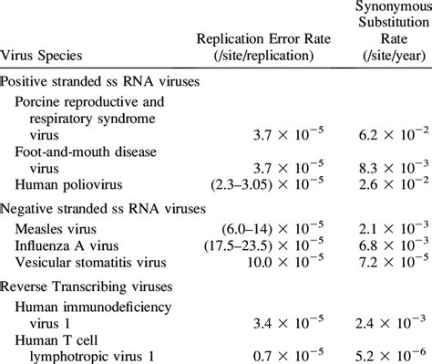 Comparison Between Replication Error Rate And Synonymous Substitution