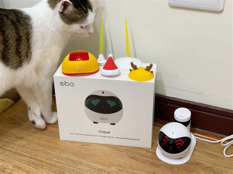 【寵物用品推薦】貓奴必備！讓喵星人在家也不無聊的好夥伴！《ebo 智能寵物伴侶 迷你機器人》遠端手機app操控 寵物攝影機 愛麗絲