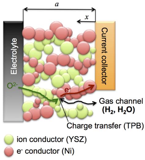 Materials Free Full Text 3d Microstructure Effects In Ni Ysz Anodes Influence Of Tpb