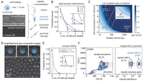 Es Cell Encapsulation Approaches Theoretical Loading With Single Cell