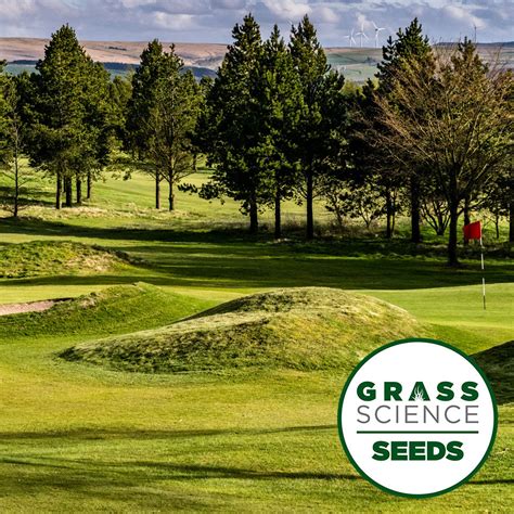 Amenity Grass Seed Gss Winter Active Dwarf Rye Grass Science Seeds