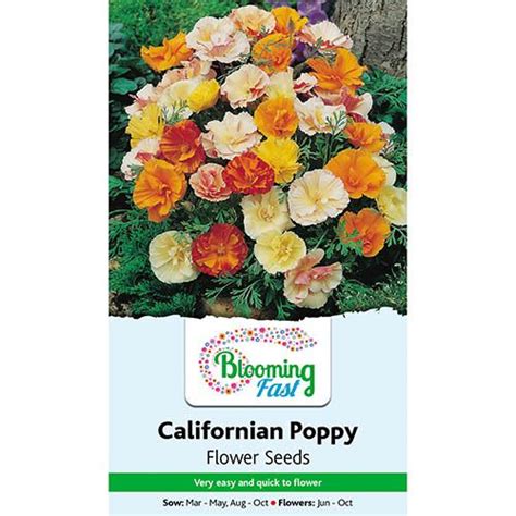 Californian Poppy Monarch Shades Pkt Seed Gardening Direct