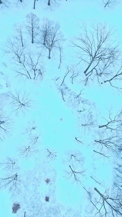 Someone Took A Video Of Me Flying 😮 Viral Fpvdrone Shorts Drone