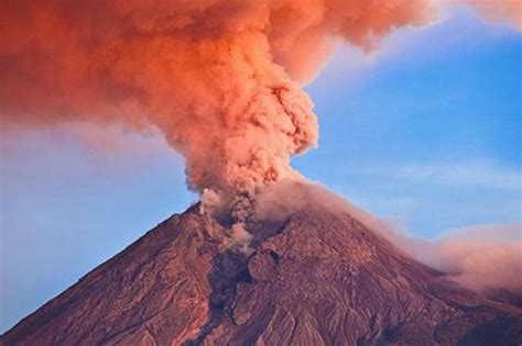 Cincin Api Pasifik Aktif