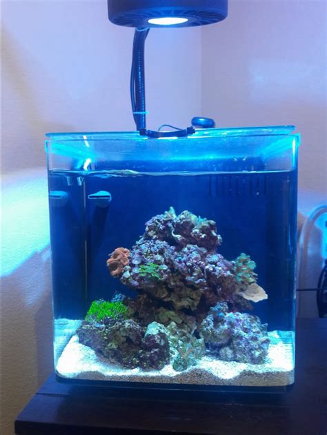 Reef Pi An Opensource Reef Tank Controller Based On Raspberry Pi