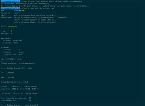 Deploy Velero For Backup And Restore In A Tanzu Community Edition Tce