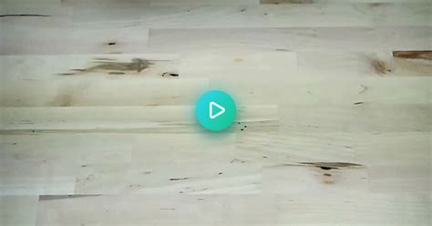 Celeriac Schnitzel Oc  On Imgur