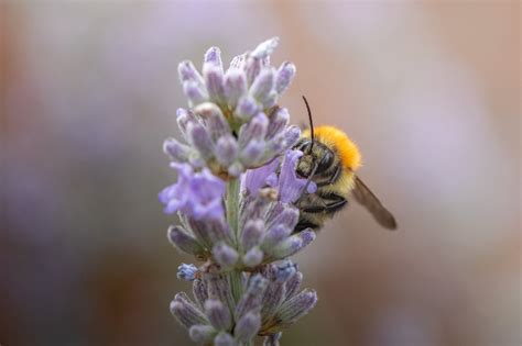 Danielle Needham Photography