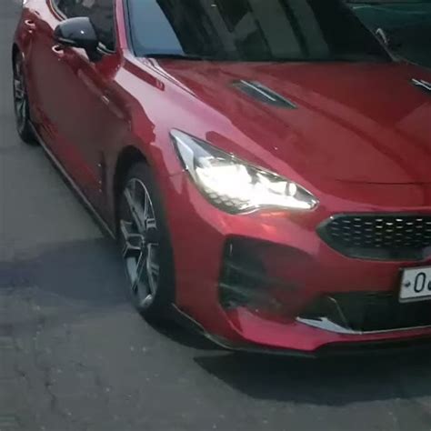 스팅어 야간 감성 Youtube