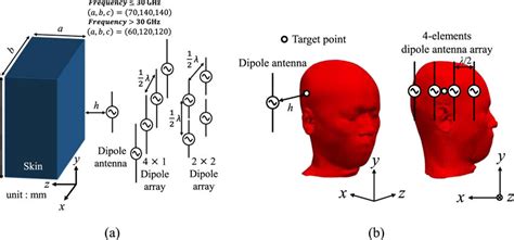 Exposure Conditions For A Dipole Antenna And Four Element Dipole Arrays