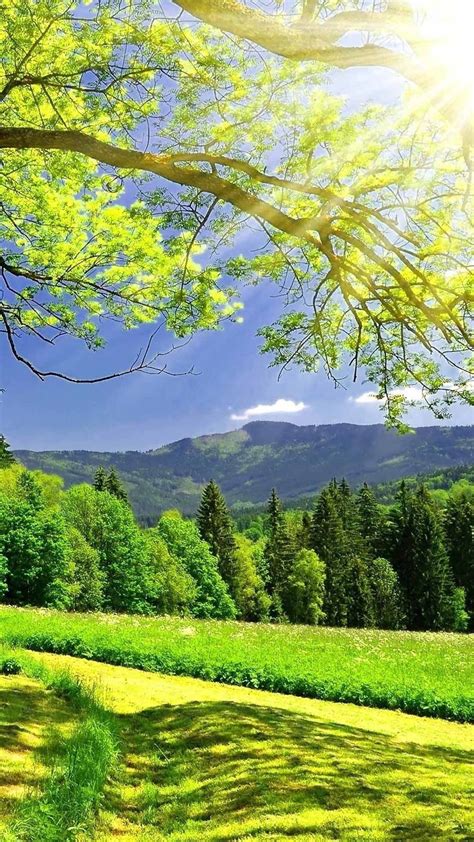 [4700 ] Nature Wallpapers