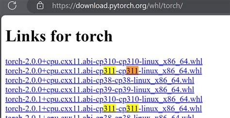 Pytorch Support For Python PyTorch Forums