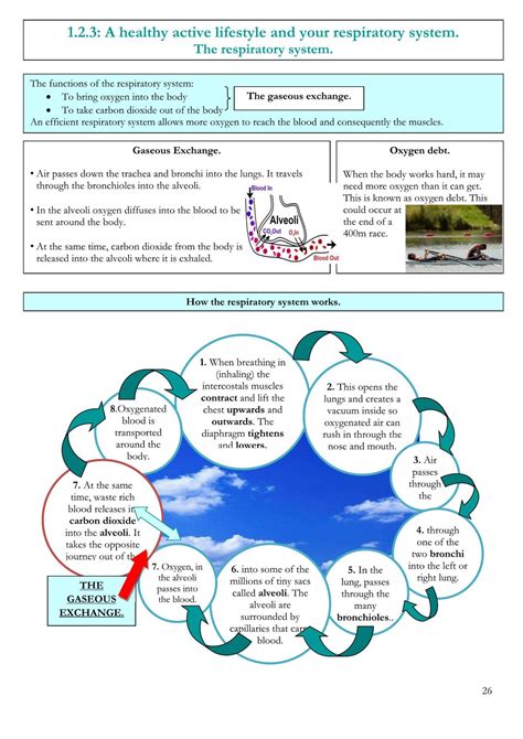 Aqa Gcse Pe Physical Education Gcse Aqa Thinkswap