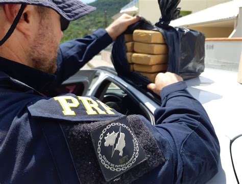 Motorista que escondia quase 50kg de maconha se entrega após fuga na BR