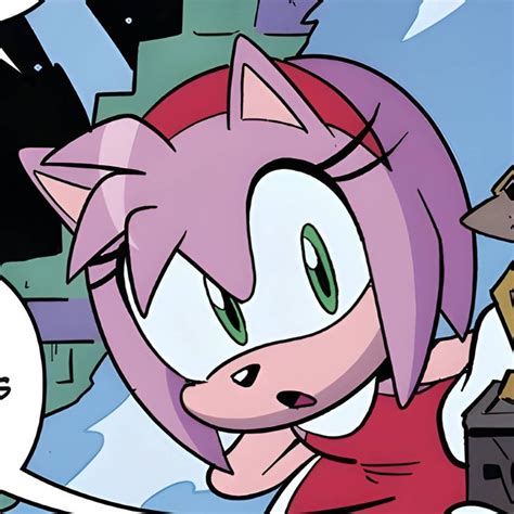 Amy Rose Sonic Idw Issue 62 Pfp Amy Rose Amy The Hedgehog Sonic And Amy