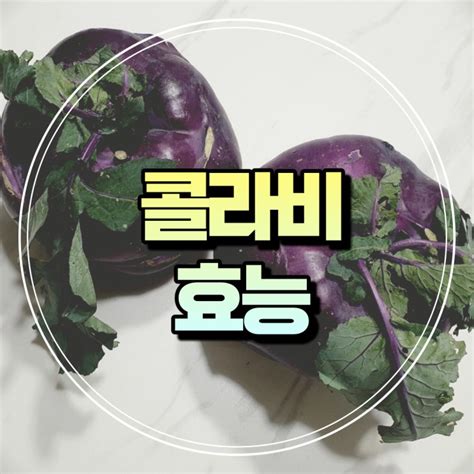 콜라비효능 부작용 칼로리 먹는법 네이버 블로그