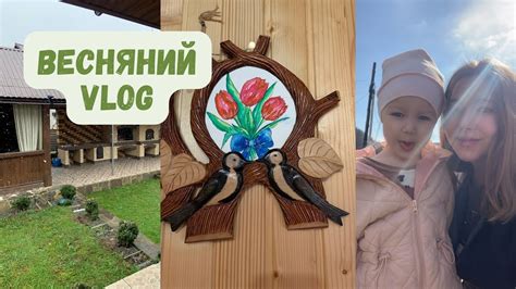 Ужгород ӏ Кава ☕️ ӏ Повсякденність 🍀Наші покупки з супермаркету Youtube