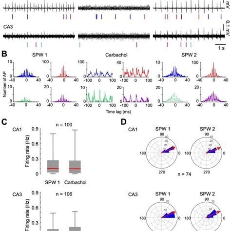 A Local Field Potential Recordings And Single Unit Activity Download Scientific Diagram