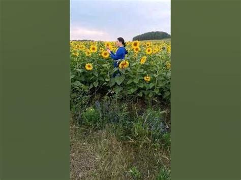Окаменелые кораллы @Liliyaserebro Башкирия #серебрянаялилияуфа - YouTube