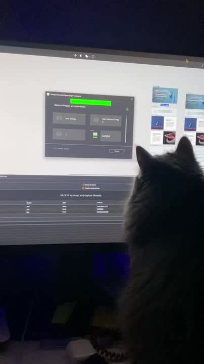 Anna Roscina On Linkedin Coding Employeewithambitions