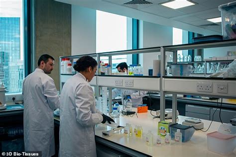 Scientists Grow A Pork Steak In A Laboratory That Looks Like Real Meat
