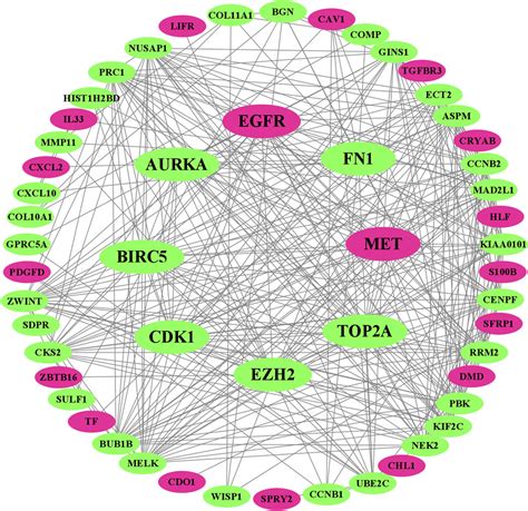 Frontiers Bioinformatics And Network Based Screening And Discovery Of Potential Molecular